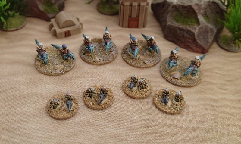 Desert Raider Reinforcements | Brigade Models