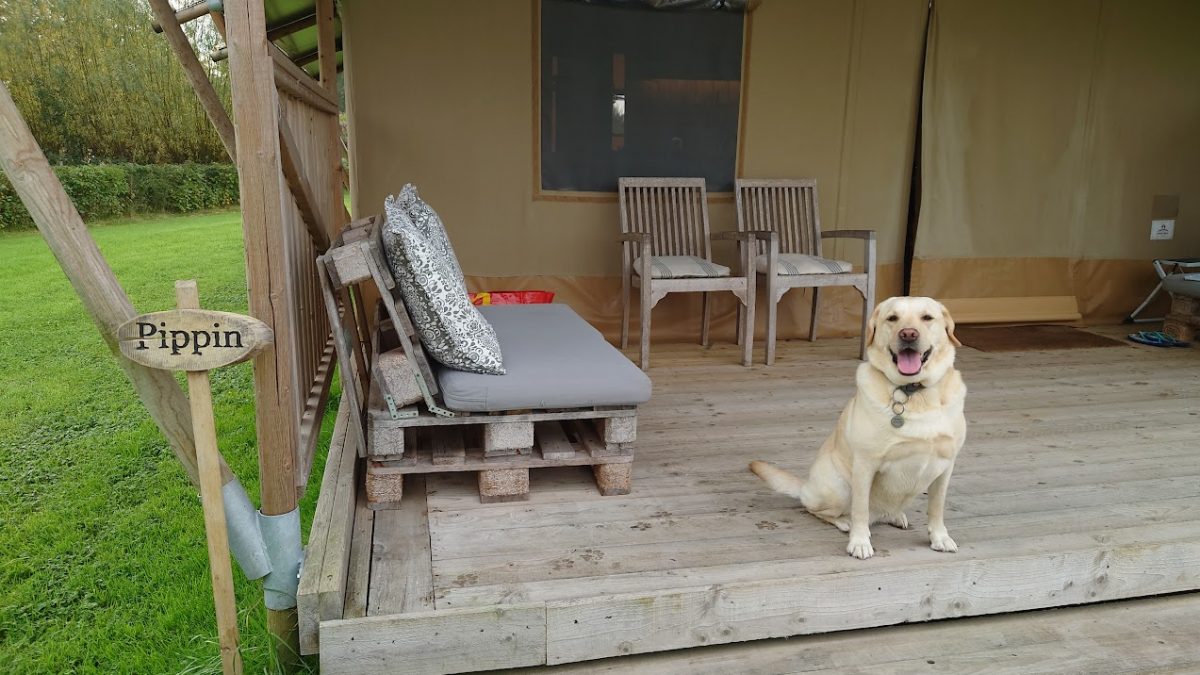 Brigade Models | Previews, new releases, interesting stuff … and cakes